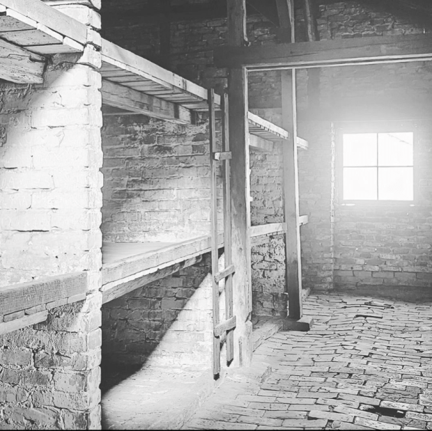 Yes, There Was a Swimming Pool in Auschwitz