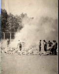 Yes, There Was a Swimming Pool in Auschwitz